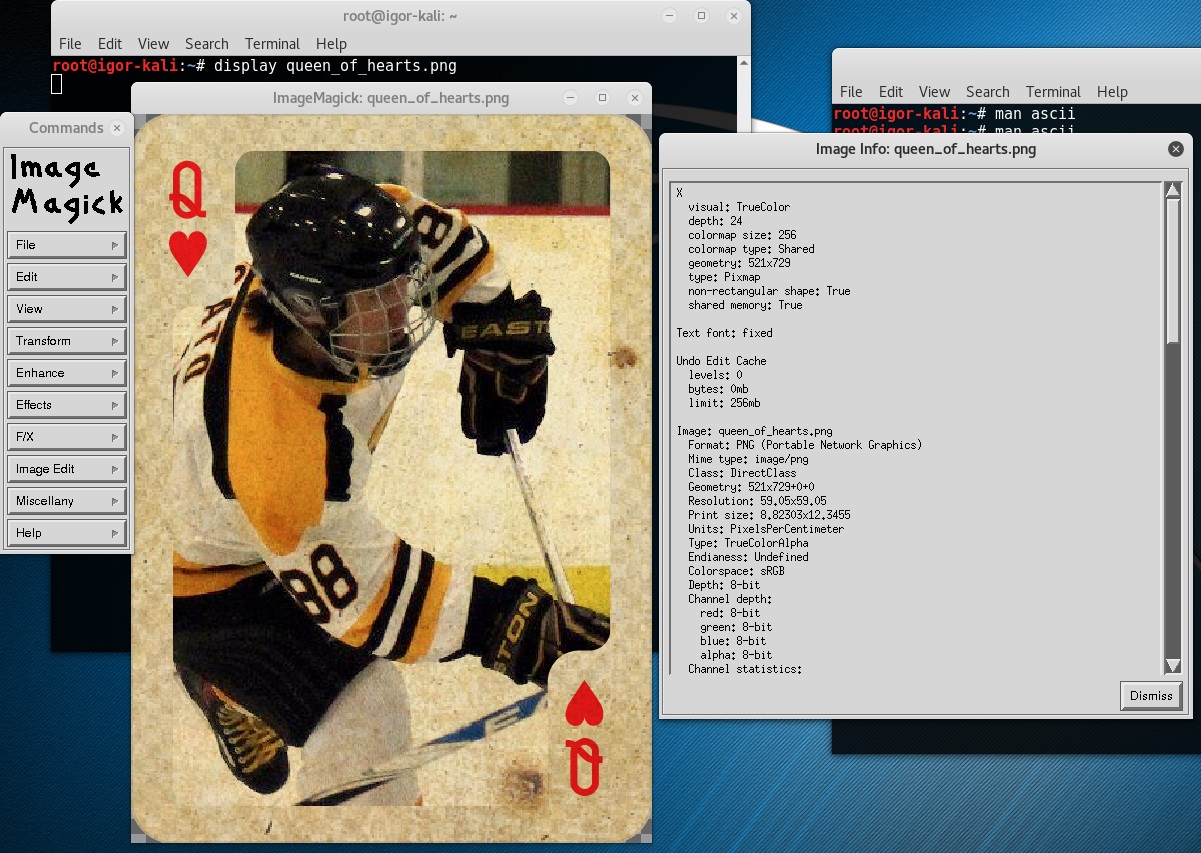 The Internet of Stuff and Things: The Queen of Hearts