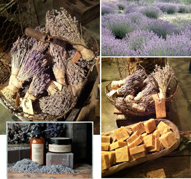 ATELIER DE CAMPAGNE: Tastefully Tasty: St. Helena Olive Oil Co.