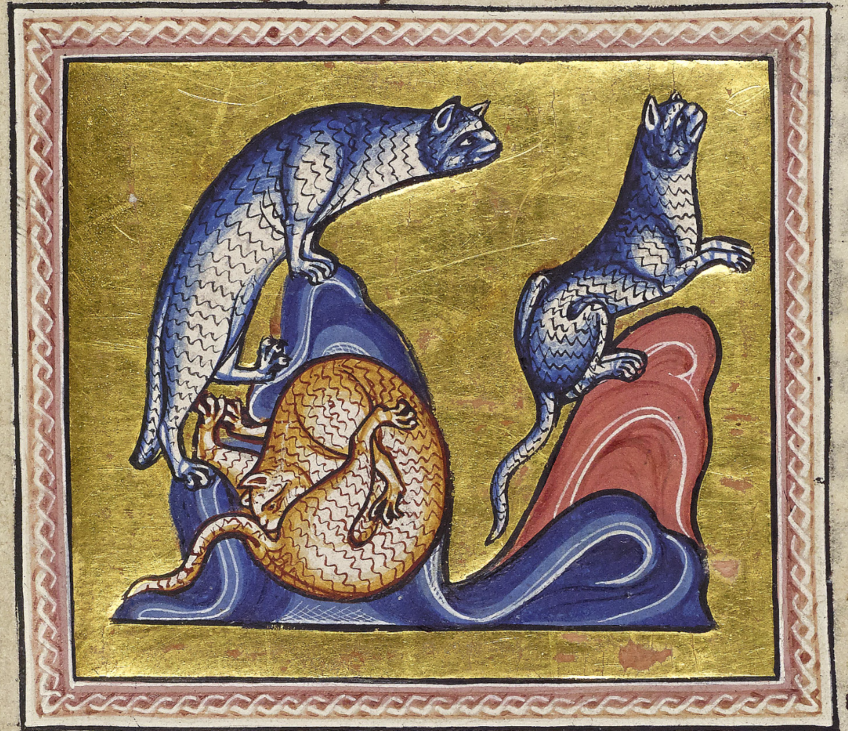 Historical Felines: The Aberdeen Bestiary