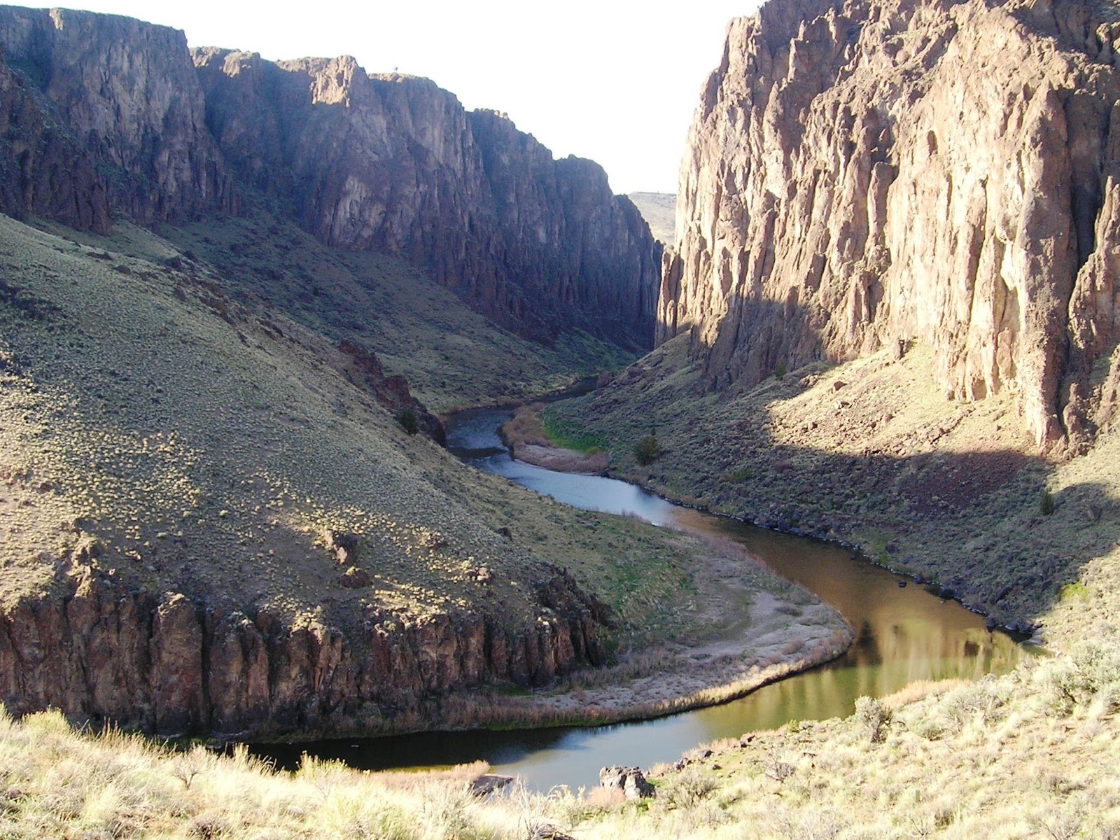 Birding Is Fun!: Three Forks of the Owyhee River