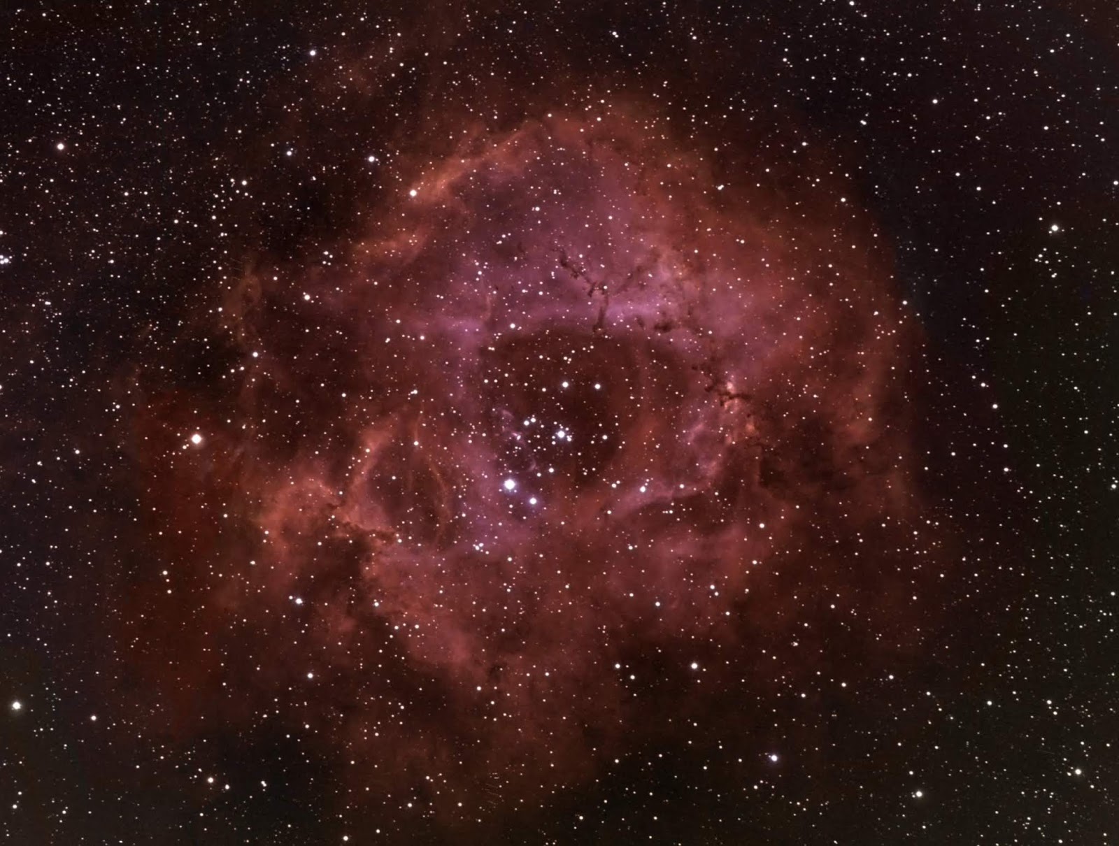 Nick Hart's Astronomical Images from a light-polluted site: The Rosette ...