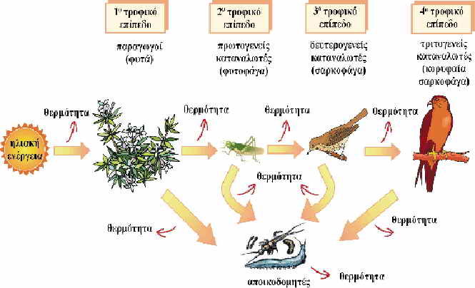 ΕΜΕΙΣ ΟΙ ΝΗΠΙΑΓΩΓΟΙ: ΕΝΕΡΓΕΙΑ