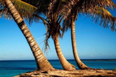 Josh Friedman Photography: An Unofficial Guide to Photographing ...