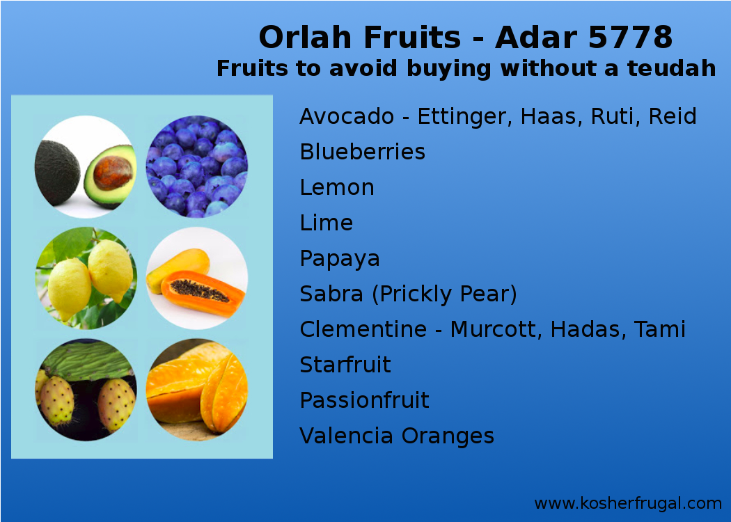 Kosherfrugal.com - Frugal Living in Israel: Orlah Fruits in the ...
