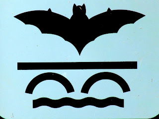 Hottman Photography: Downtown Austin Part II