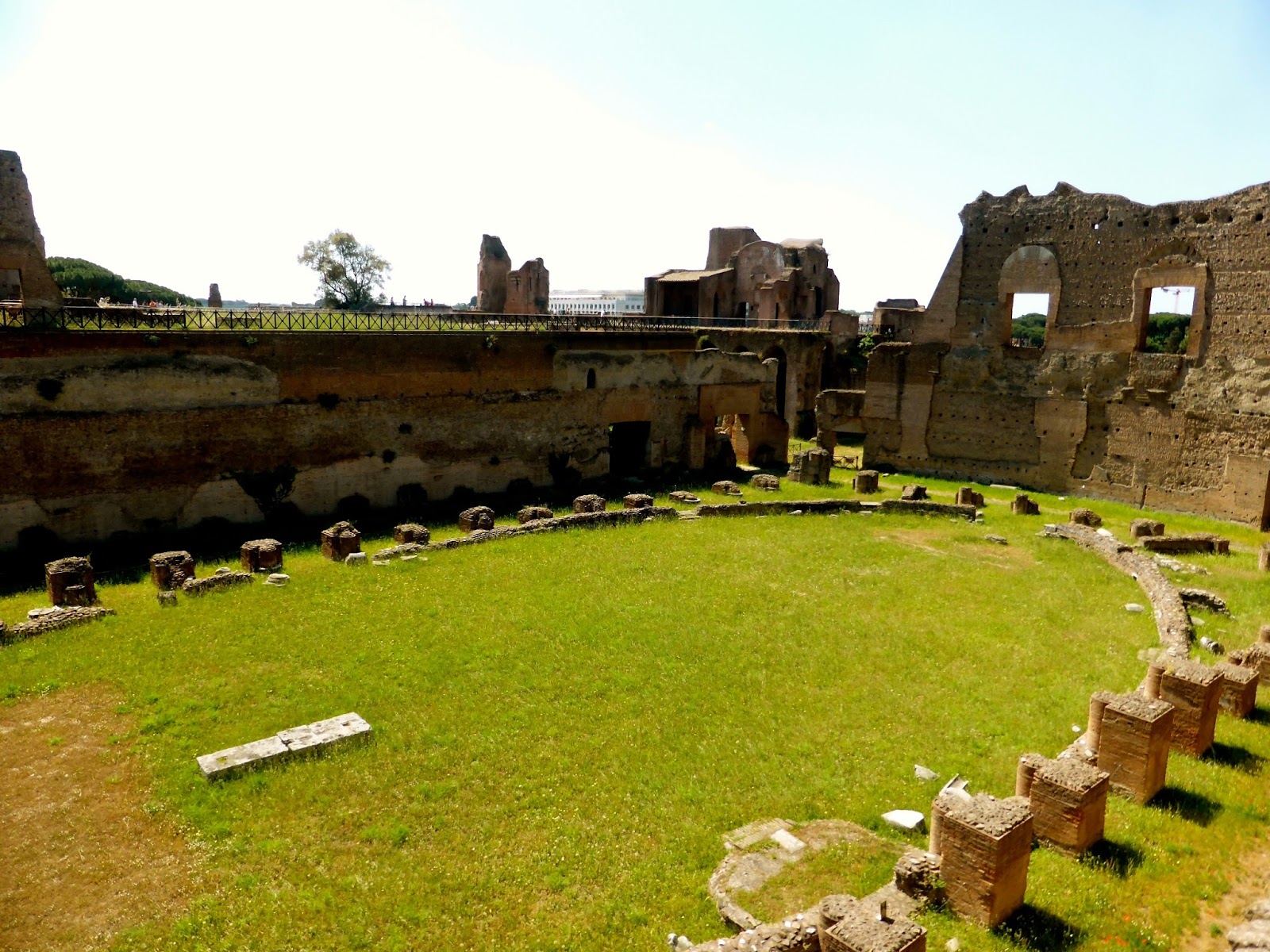 Facciamo un giro in centro?: PALATINO