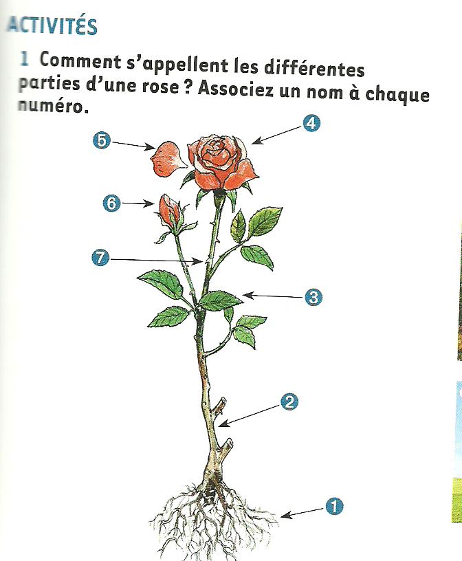 MiLi Intermédiaire: Le Horla - 3ème séance