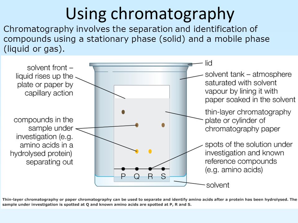 Paper Chromatography Of Amino Acids Conclusion paper-chromatography-of-amino-acids-conclusion