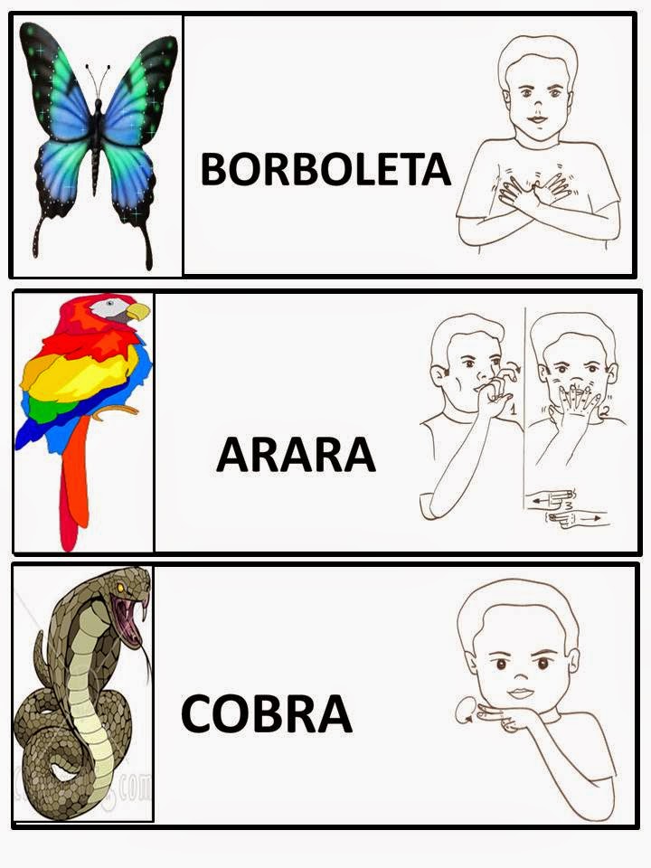 Amanda Duda, Pedagogia e Libras: Animais em Libras