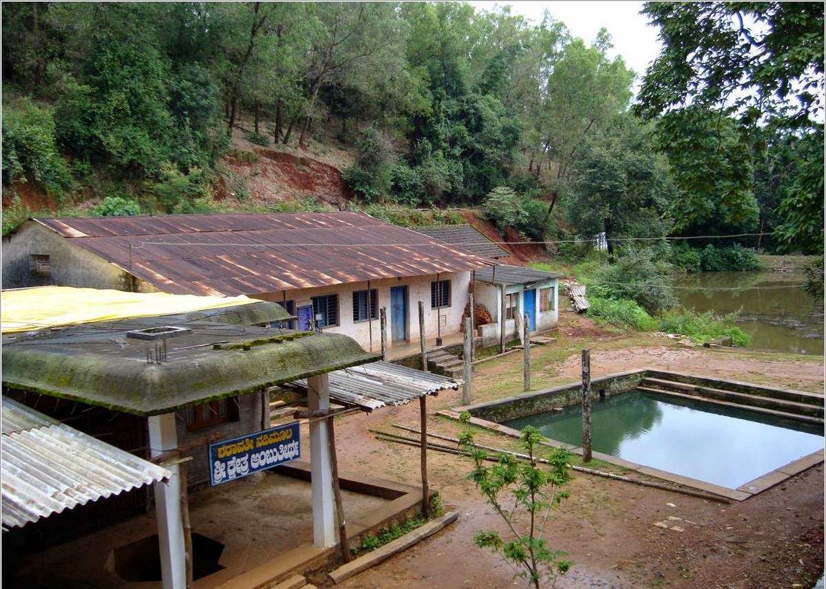 Manoj Saldana: Ambuthirtha, Tirthahalli