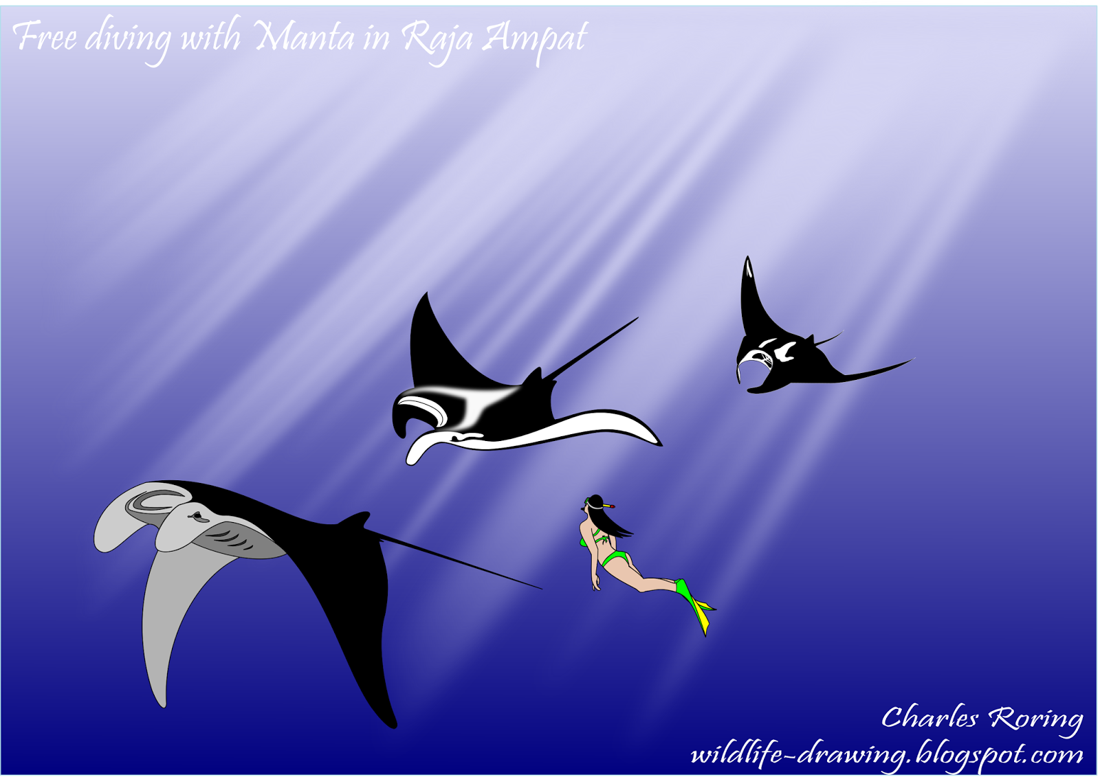 Raja Ampat Club: Free Diving with Manta in Raja Ampat