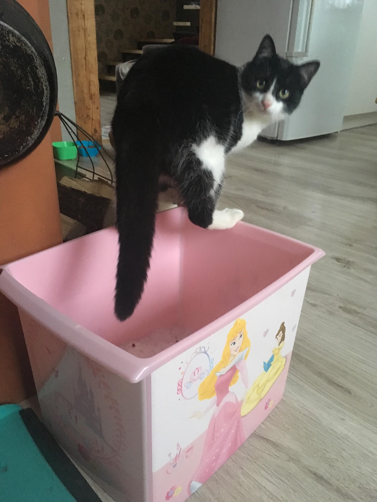 ShoppingQ: Vahest saab säästmisega üle ka pingutatud