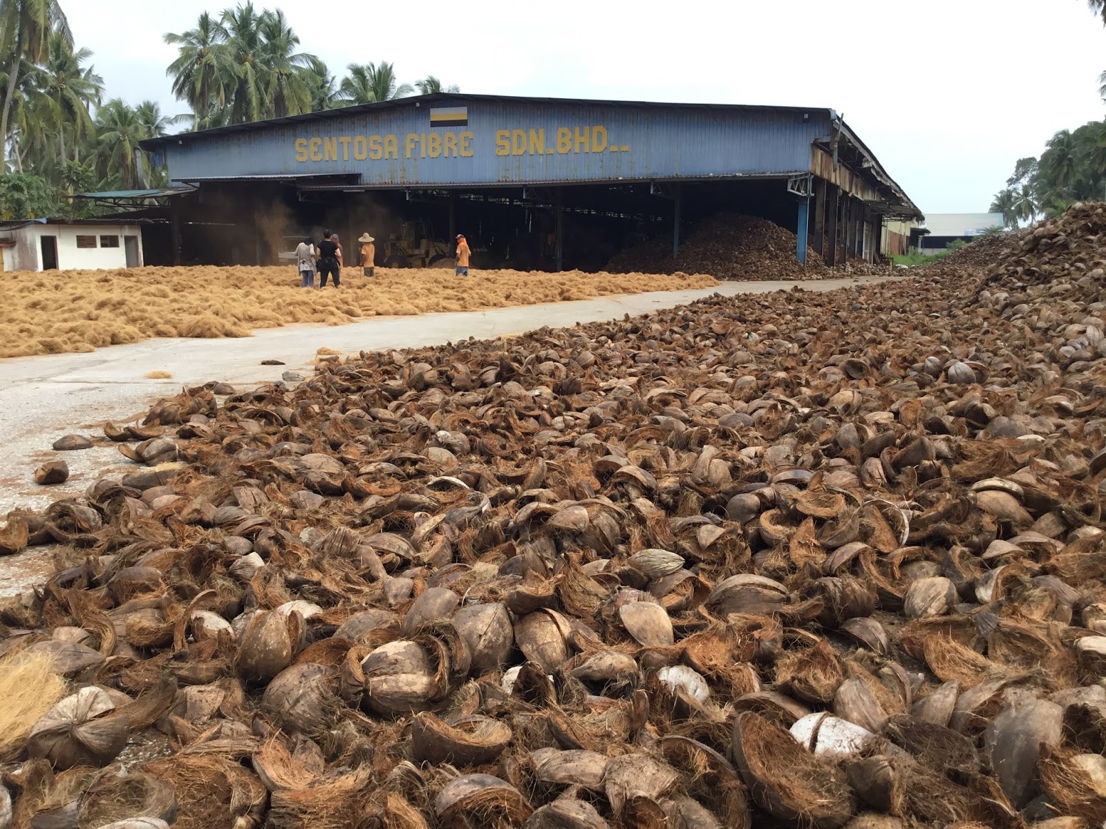 Apa Yang Menarik di Bagan Datuk, Perak? - emilinda