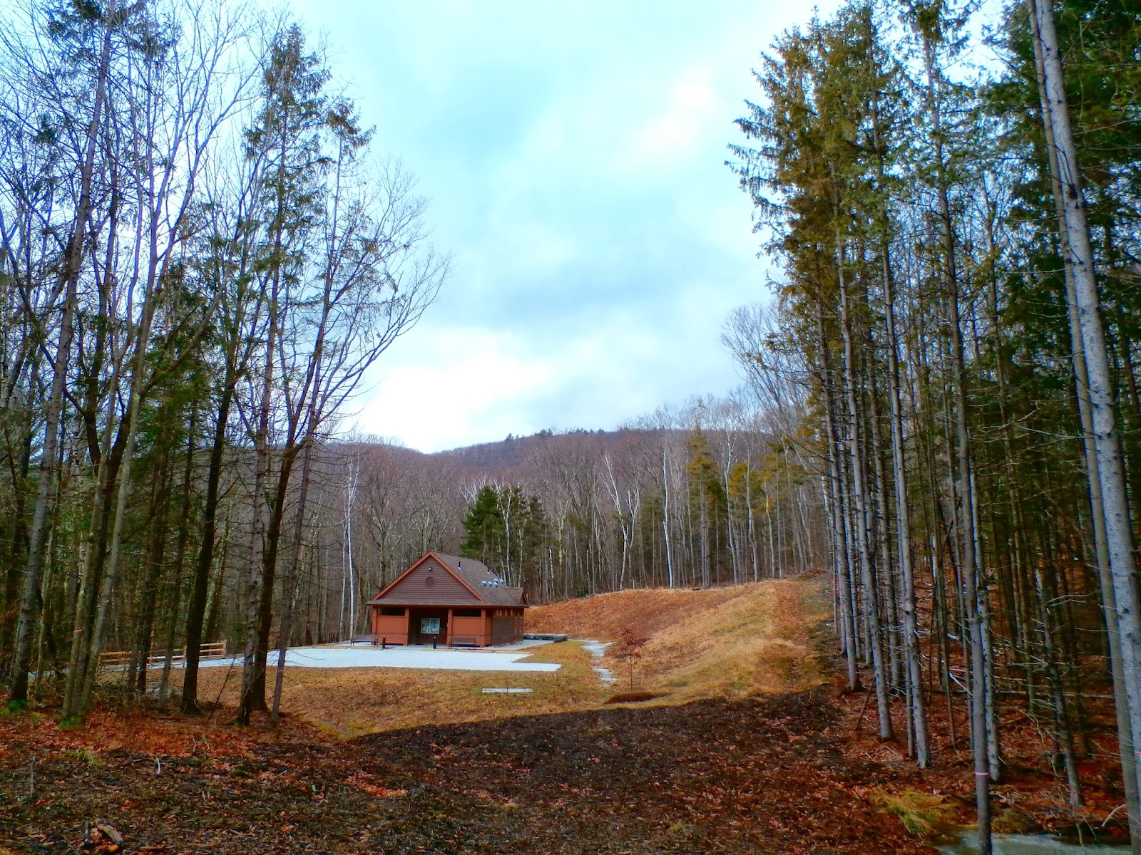Walking Man 24 7: Pittsfield State Forest