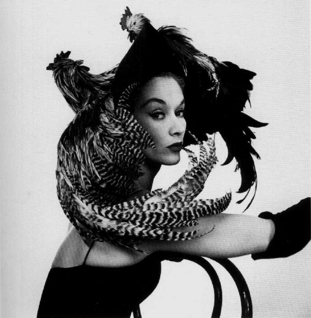 Fashion’s First Supermodel: 30 Stunning Black and White Photos Lisa ...