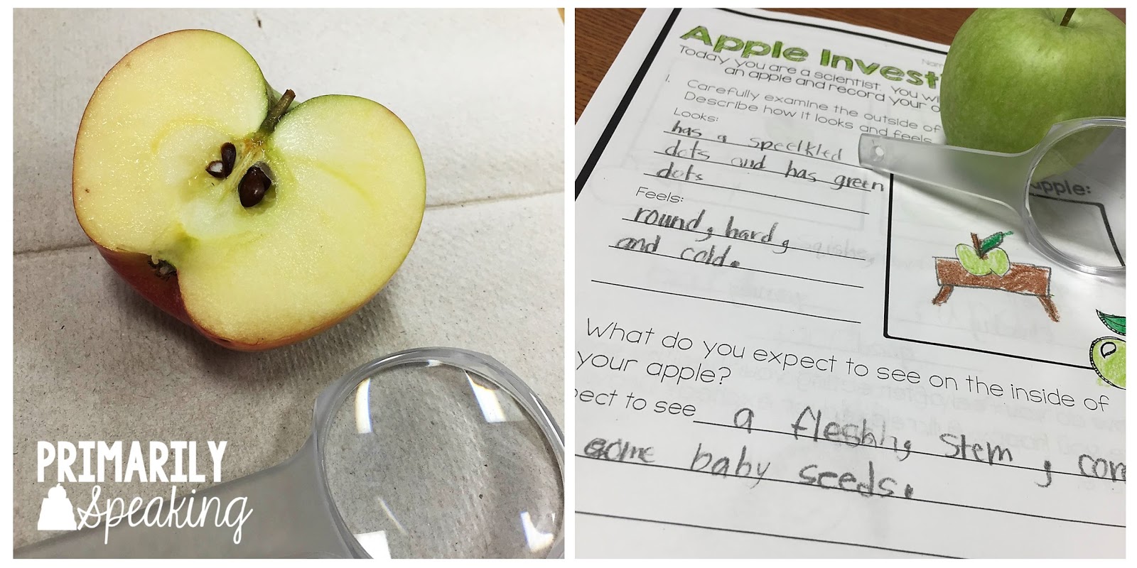 Apple Fun! | Primarily Speaking