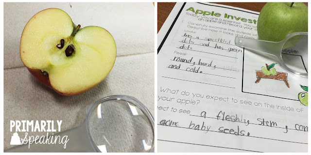 Apple Fun! | Primarily Speaking