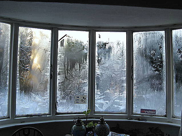 Staffordshire Photo: Iced windows