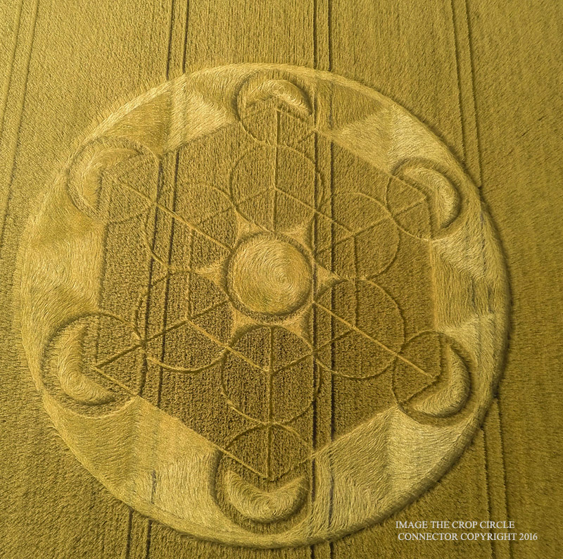 Augureye Express: 2016 Crop Circle Gallery