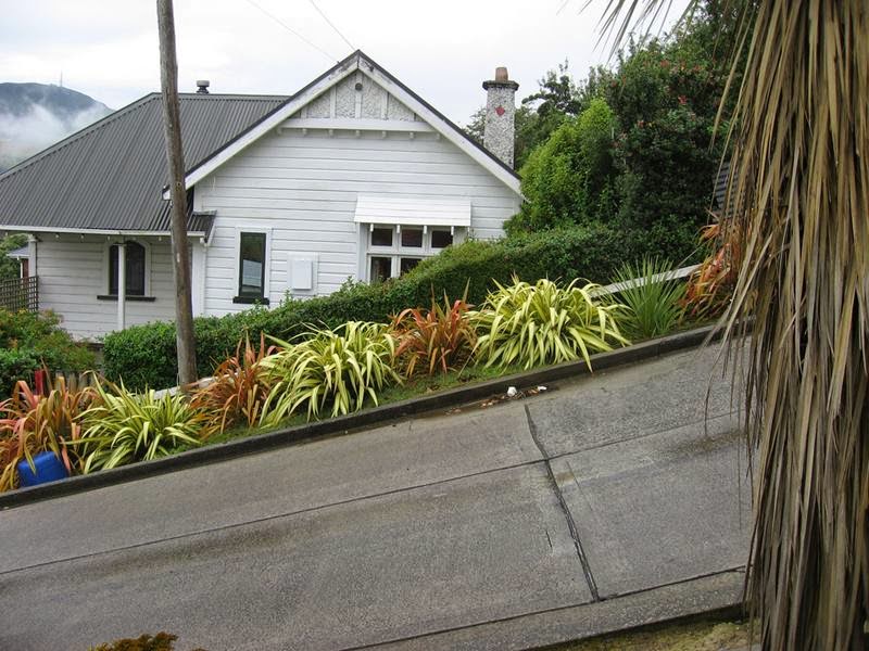 Steepest street in world | Baldwin street in New Zealand