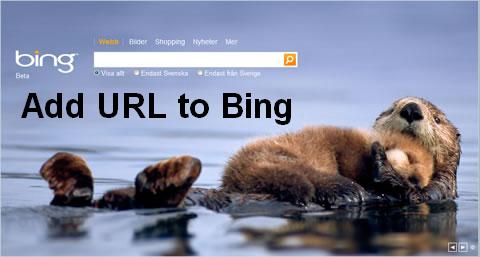 Top All In One: How do I add URL site to Bing