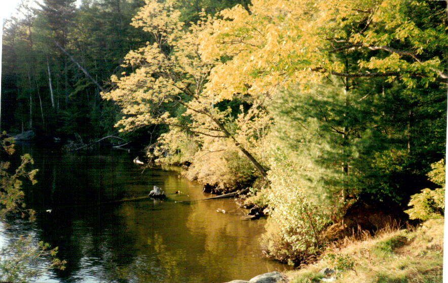 Camper Umo's Campground Reviews: Review: Frost Centre - Lake St. Nora