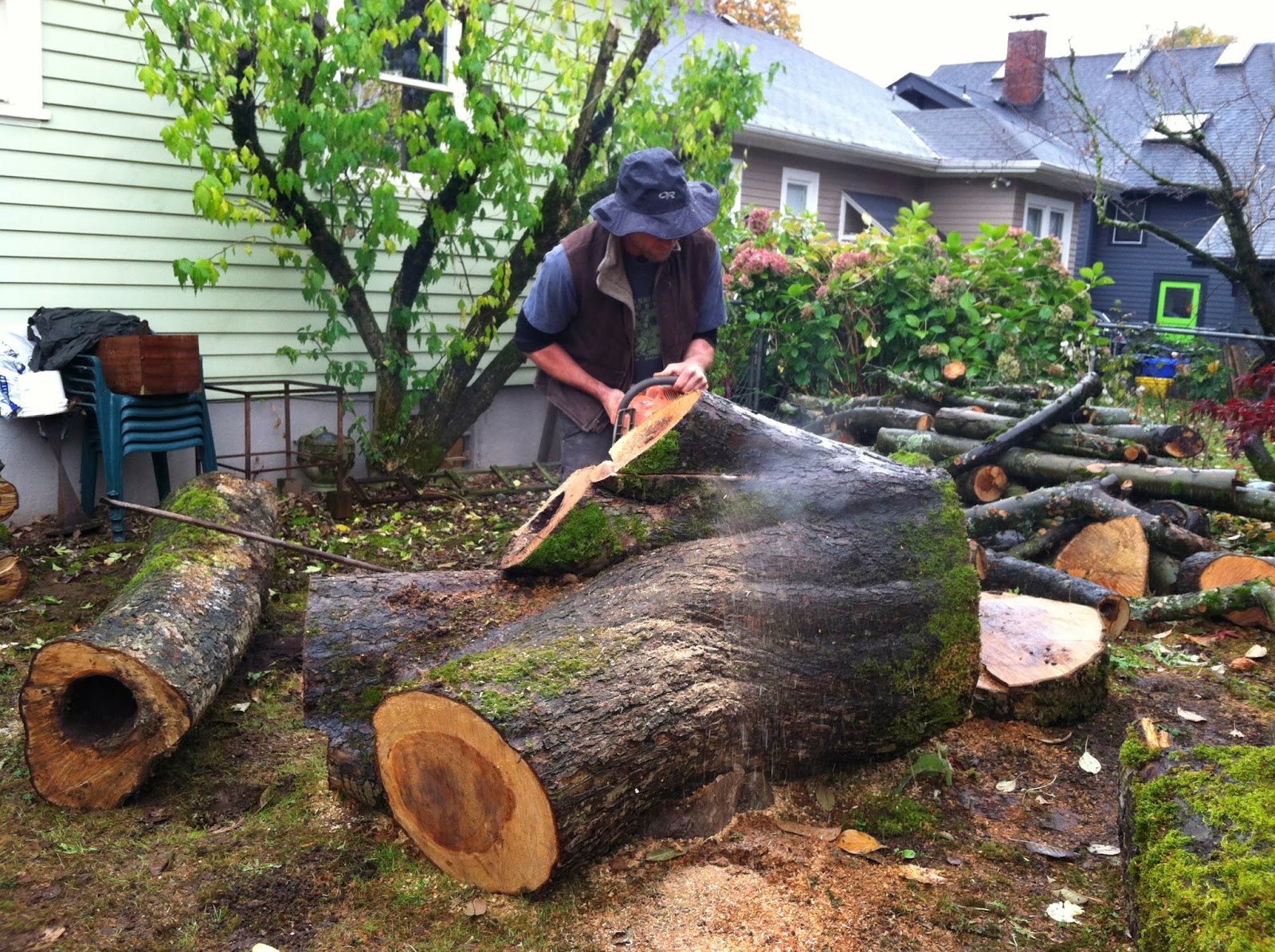 Five Fifths Furniture: The largest Apple tree in the world meets its match