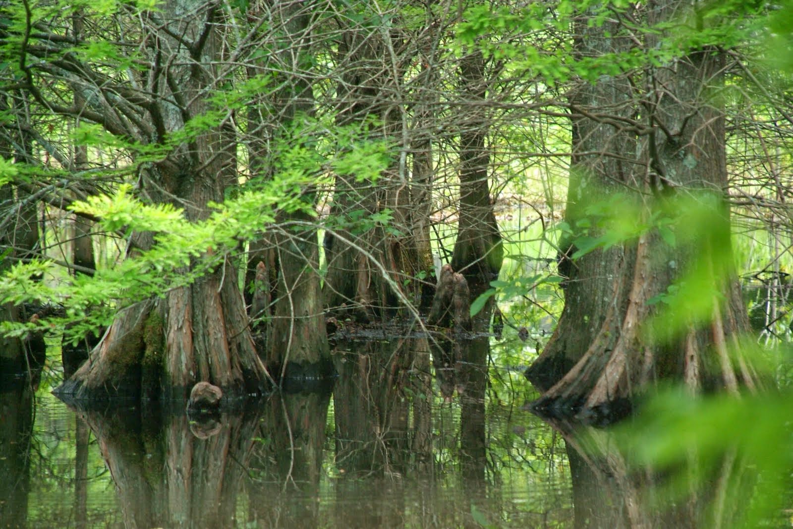 Wawasan Luas: Perairan Darat