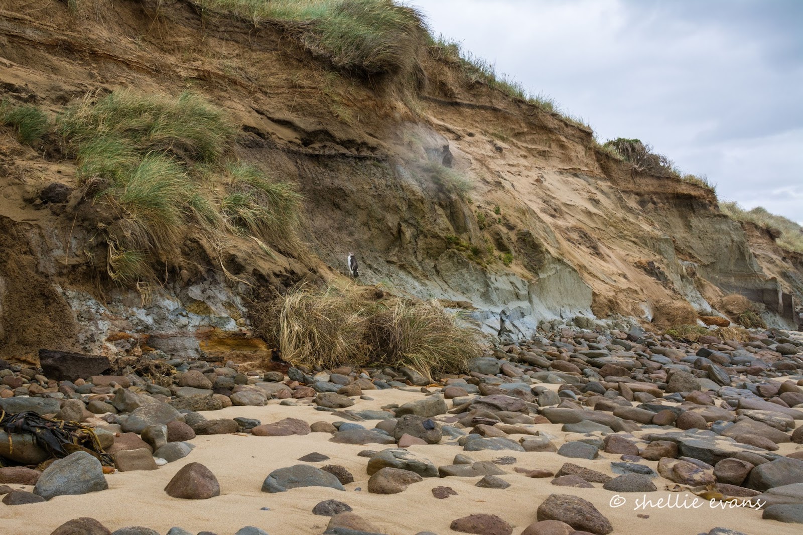 Two Go Tiki Touring: Weir, Waipapa & a Coal Pit