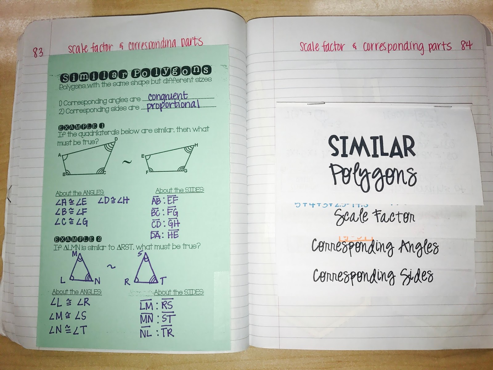 Ratio, Proportions, and Similar Polygons | Mrs. Newell's Math