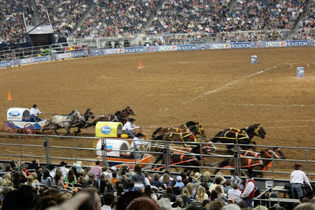 KEEP CALM AND CARRY ON: Things I Learned At The Houston RODEO!