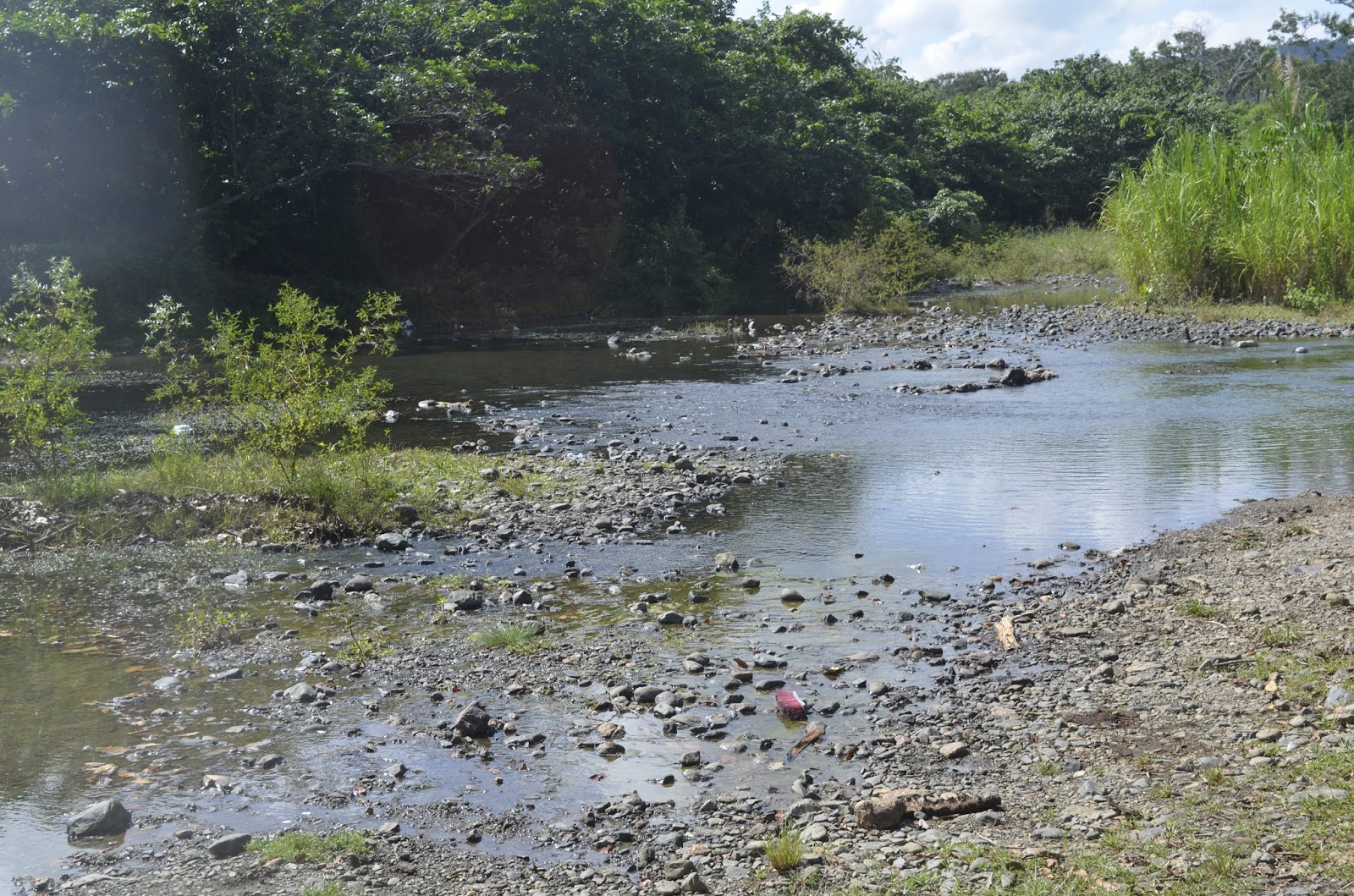 felix de cruz: Lo queda de nuestro moribundo rio Guanuma.