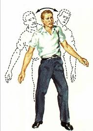 Blogão de Fisio: DISFUNÇÃO CEREBELAR