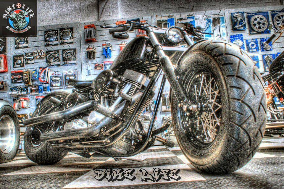 Battistinis Custom Cycles: Battistinis, Bike Life Photos.