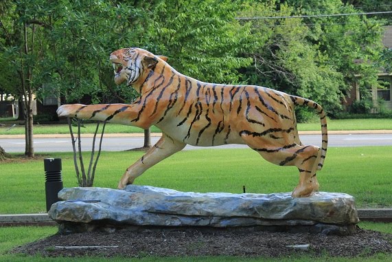 The Wanderers: Tigers Around Memphis