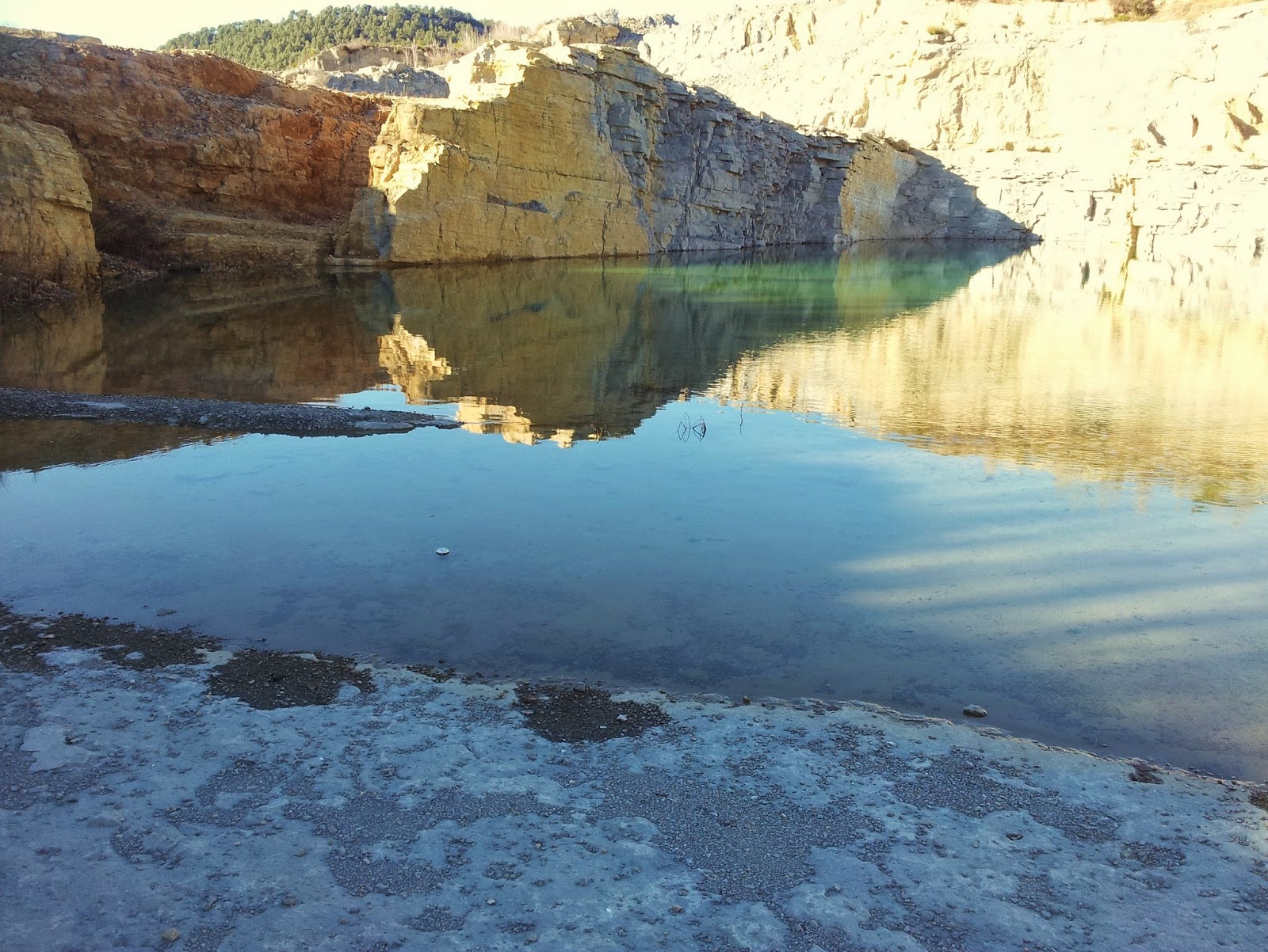 Itineràncies poètiques: Amigues