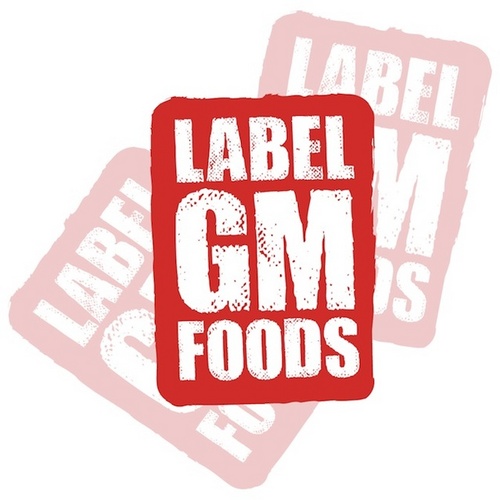 Genetically Modified Foods: What are genetically modified foods?