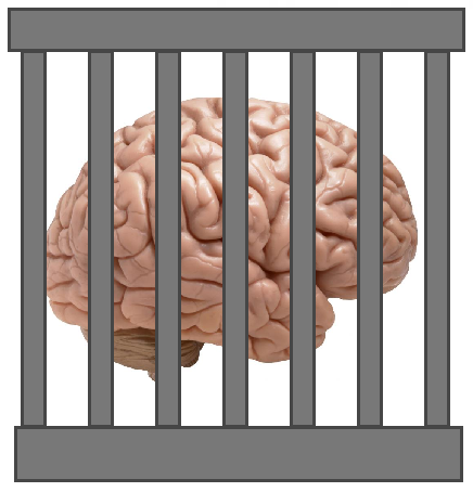 IN THE NEWS: RadioLab explores criminal culpability and the brain