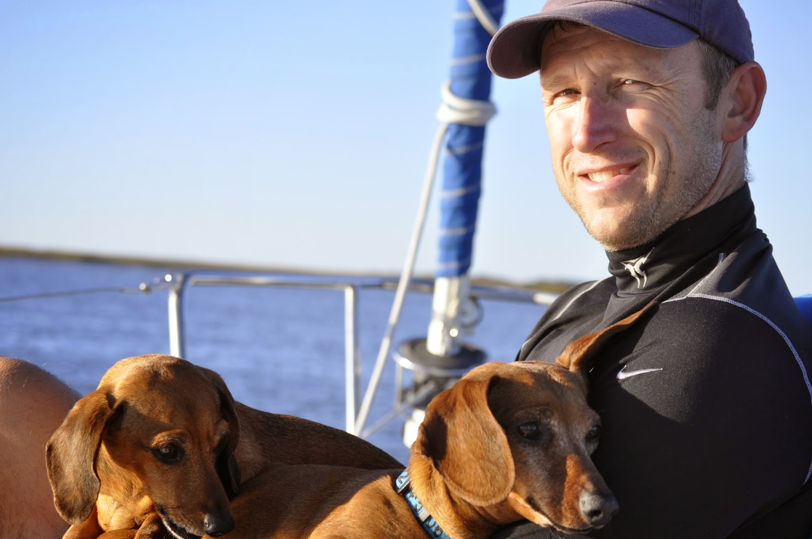 Sailing Luna Sea : Dogs on a Boat - the Puppy Pad Chronicles