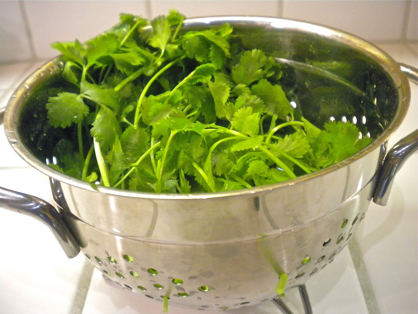 Kitchen Cactus: Indian Cilantro Chicken (Dhaniya Murgh)