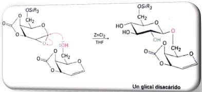 CARBOHIDRATOS: SINTESIS DE POLISACARIDOS