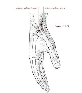Acupuncture: LI - 5 ( Large Intestine-5)