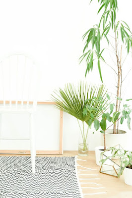 Now Trending - Greeninspiration | Home Chic Club: Now Trending ...