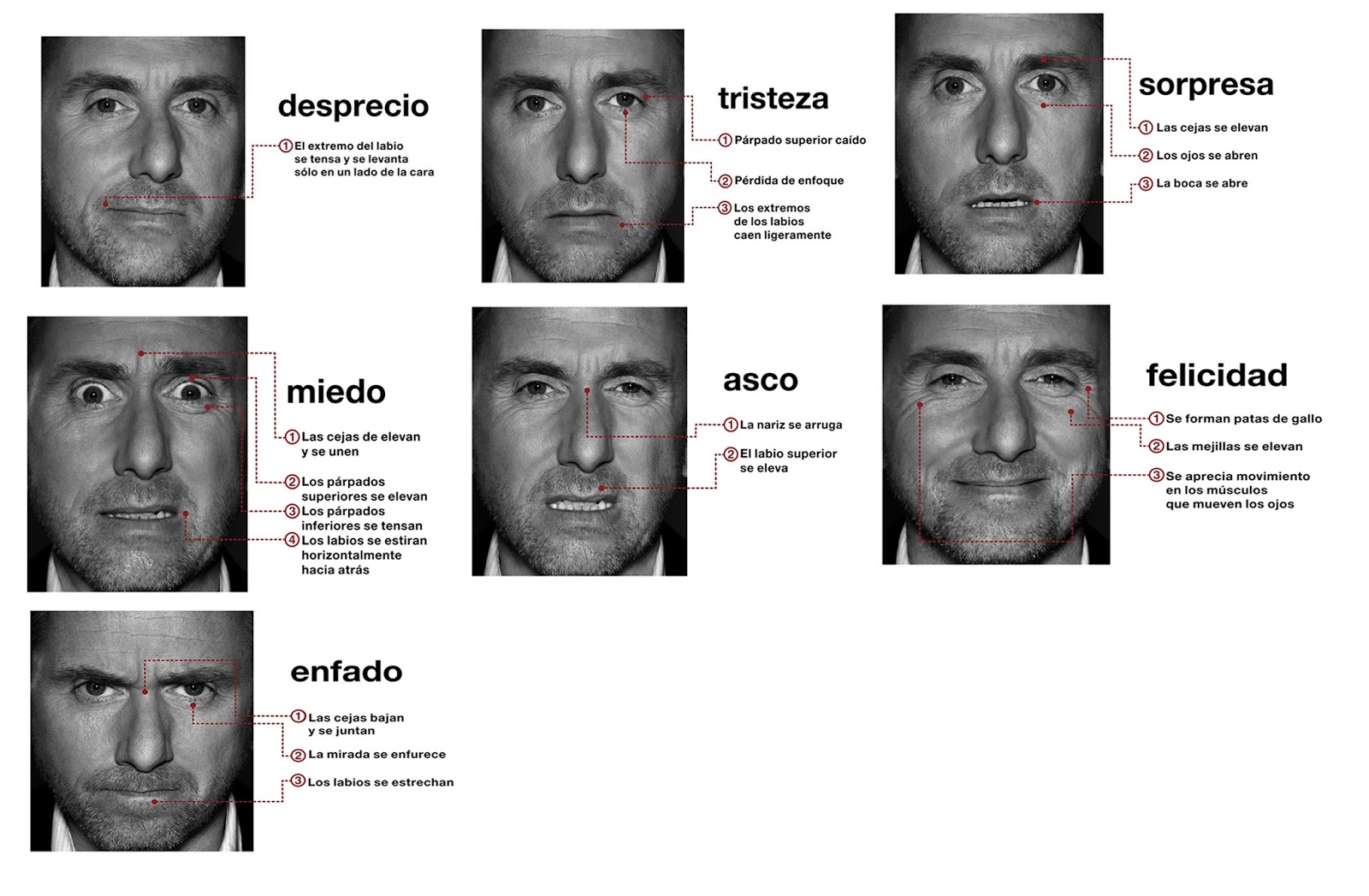 Los Ingredientes de La Vida: "Nuestros Gestos Nos Delatan"