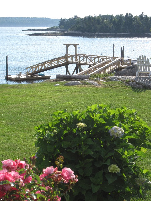 Creative Inclinations