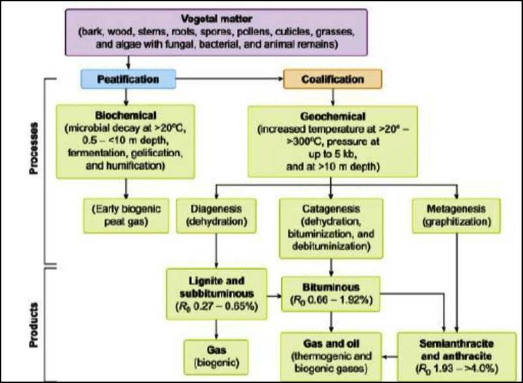 √ Pembentukan Gas Metana Dalam Proses Pembatubaraan (Coalification ...