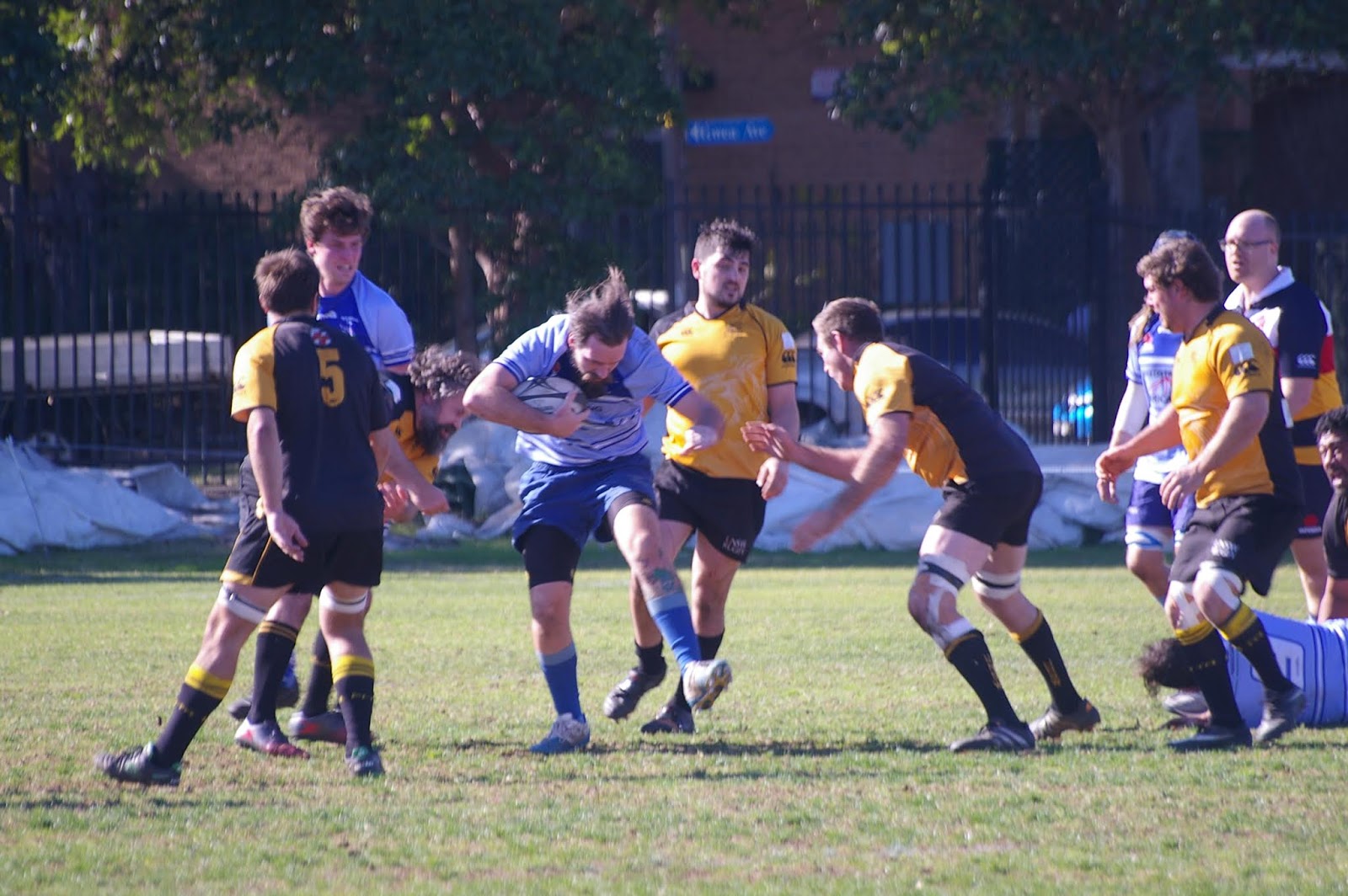 Blue Mountains Rugby Overflow: UNSW 7.7.18