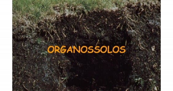 FUNDAMENTOS DE PEDOLOGIA - Organossolo