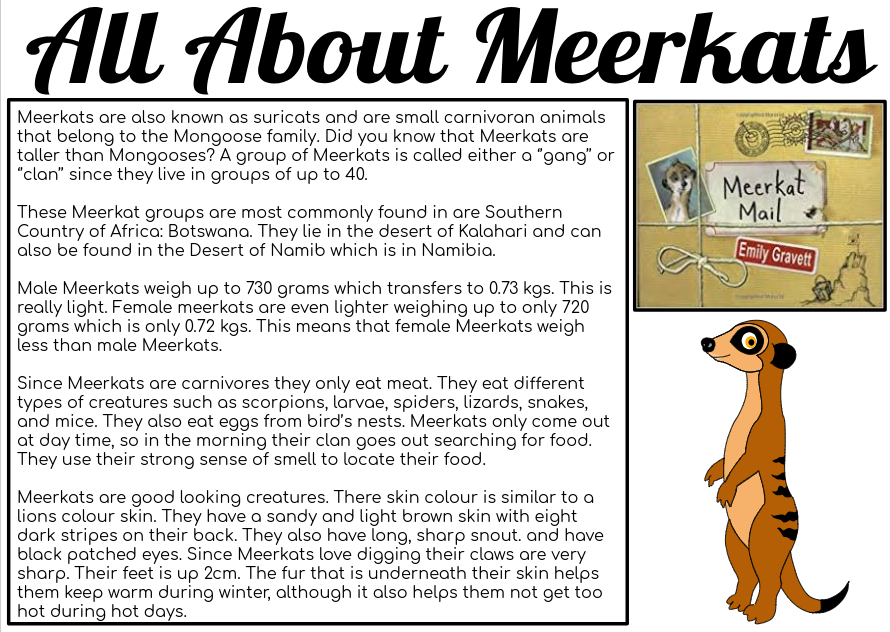 Alex @ Panmure Bridge School: Facts About Meerkats