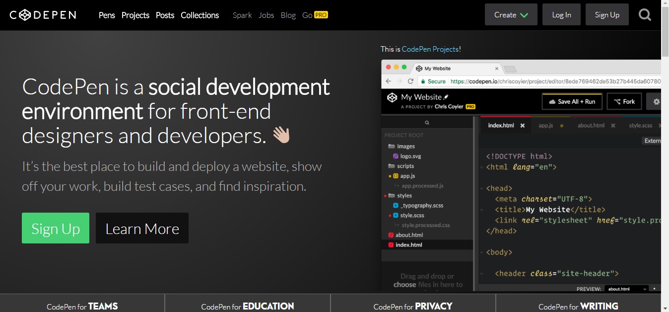 Codepen Html